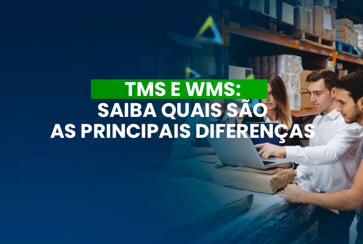 Sistemas TMS e WMS: entenda as principais diferenças - Blog | Everlog